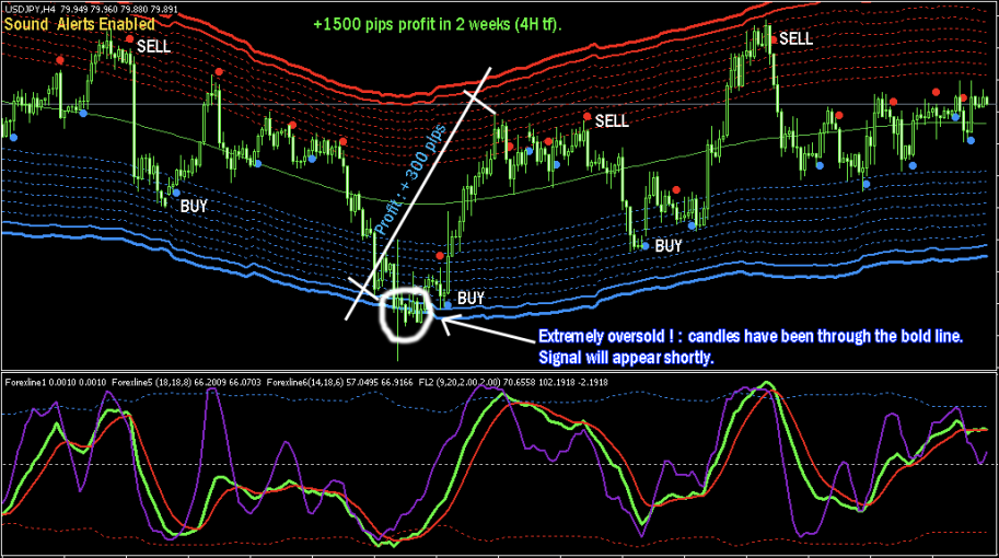 Trend Reversal Strategy: Market Reversal Patterns | Advanced Forex ...